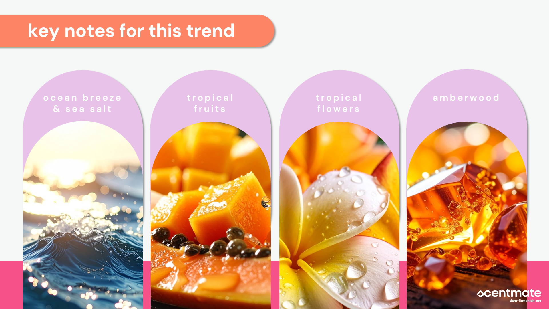 Tendances olfactives : Coastal Riche - Scentmate