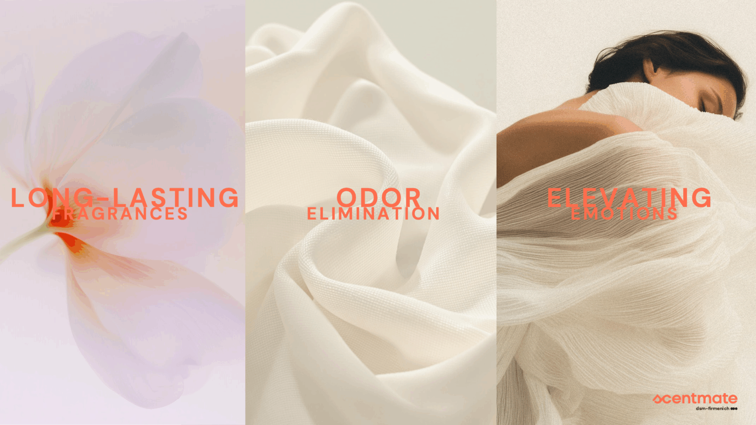 Air care trends 2026: 3 fragrance directions that are shaping the way we scent our spaces ...