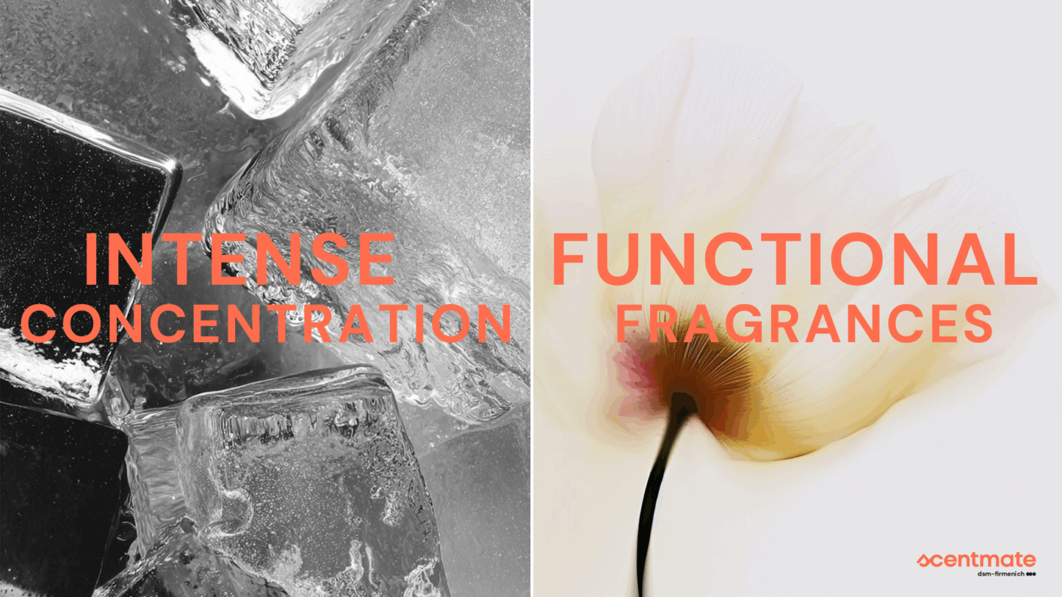 Fine fragrance trends 2026: 3 scent directions you’ll want to keep an ...